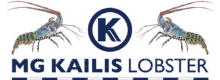 Tropical Rock Lobsters | MG Kailis Lobster